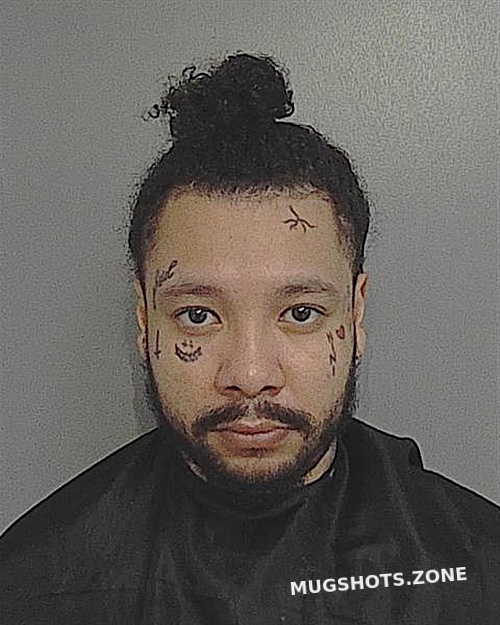 EDWIN MIGUEL PENA 11/23/2024 - Osceola County Mugshots Zone