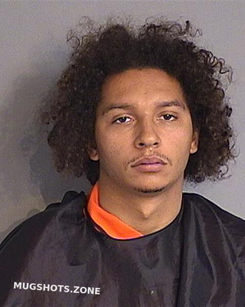 TYREE SCOTT HALE 02/07/2025 - Osceola County Mugshots Zone