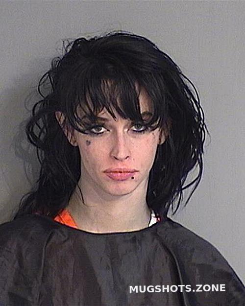 MELISSA HOPE BABCOCK 02/16/2025 - Osceola County Mugshots Zone