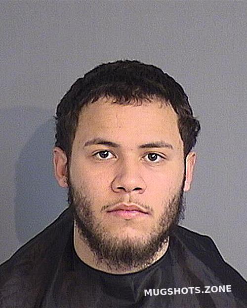 ADRIAN MITCHELL NUNEZ-FEBUS 02/19/2025 - Osceola County Mugshots Zone
