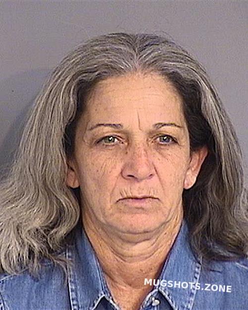 HILDA AIDE NEGRON-SANTIAGO 03/02/2025 - Osceola County Mugshots Zone