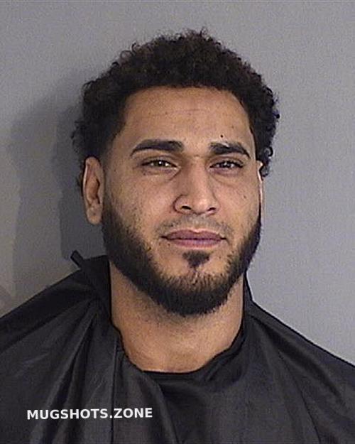 RAFAEL ALBERTO ALAYON-PEREZ 03/04/2025 - Osceola County Mugshots Zone