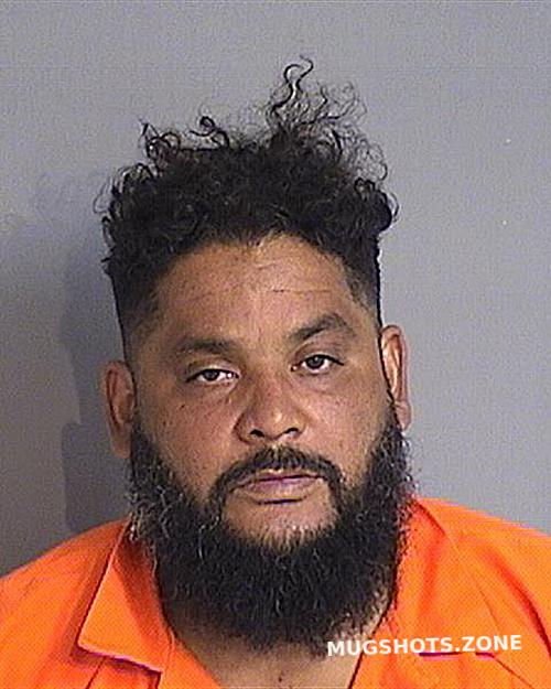 ANDY DAVID RAMOS 03/10/2025 - Osceola County Mugshots Zone