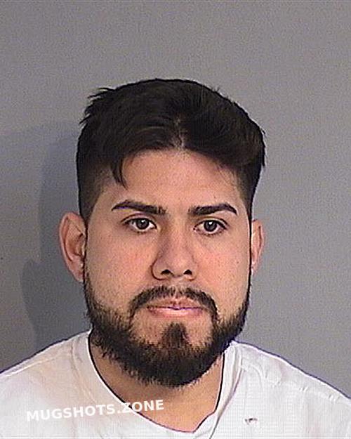 ARGENIS JOSE EREU-CASTILLO 04/11/2025 - Osceola County Mugshots Zone