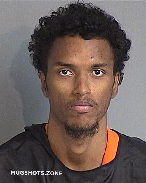YANIK ADRIEL DEPINA 04/14/2025 - Osceola County Mugshots Zone