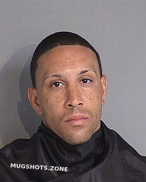 SAMUEL LEWIS MCELHANEY 05/03/2025 - Osceola County Mugshots Zone