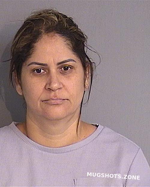 MARIA MIREIDA ALVAREZ-COLON 05/22/2025 - Osceola County Mugshots Zone