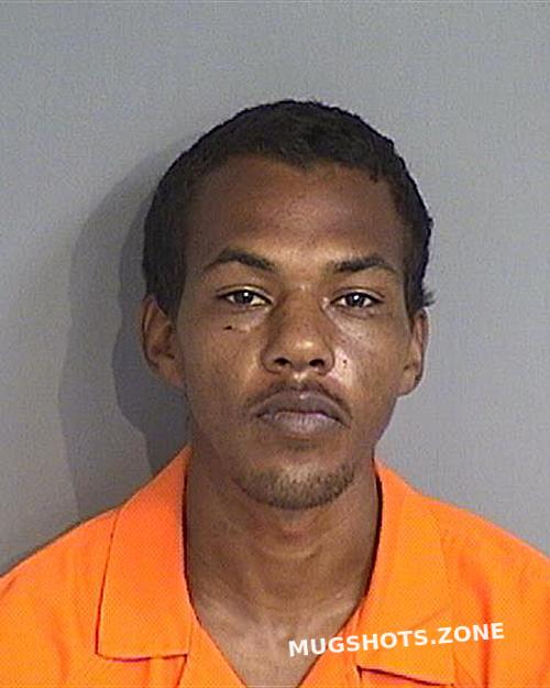 WAYNE GEORGE-GREGORY TYRELL 05/29/2025 - Osceola County Mugshots Zone