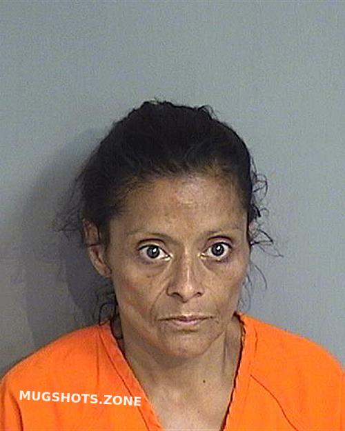 CLAUDIA MARIA DIAZ 07/05/2025 - Osceola County Mugshots Zone