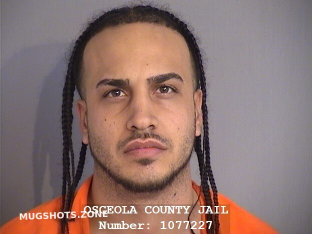 ANTHONY FRANK STAVALO 11/16/2025 - Osceola County Mugshots Zone