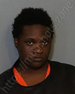DESTINY ANN STREETER 04/08/2026 - Osceola County Mugshots Zone