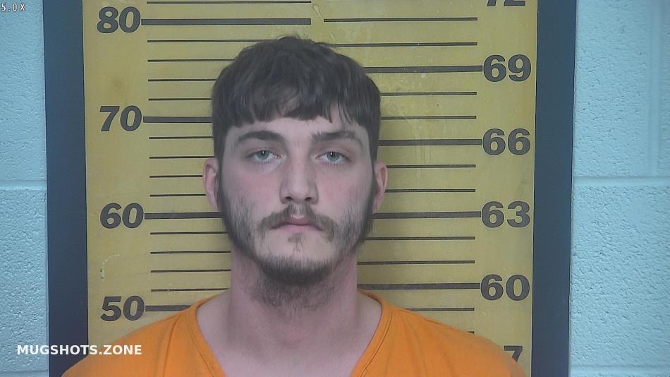 FRIZELL MATHIEU P 11/17/2021 - Ottawa County Mugshots Zone