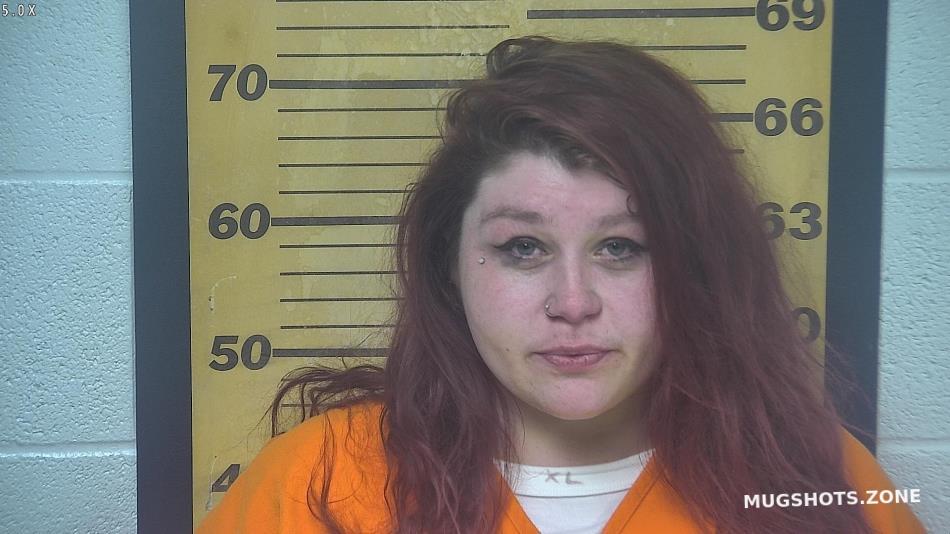 HARDING TESLA R 06/29/2022 - Ottawa County Mugshots Zone