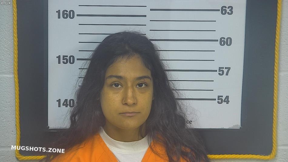Frost Sariah D 10132023 Ottawa County Mugshots Zone