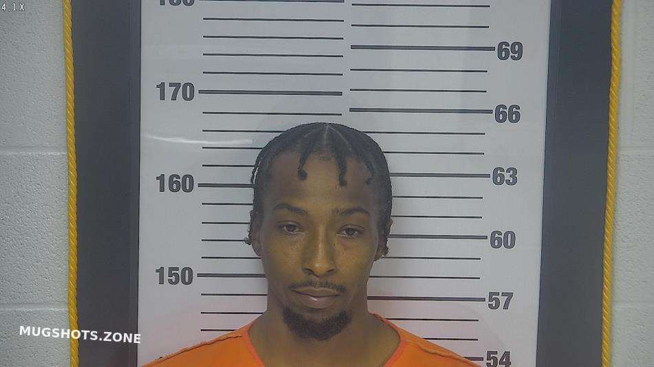 COLE MALEEK ARMON 11/12/2023 - Ottawa County Mugshots Zone