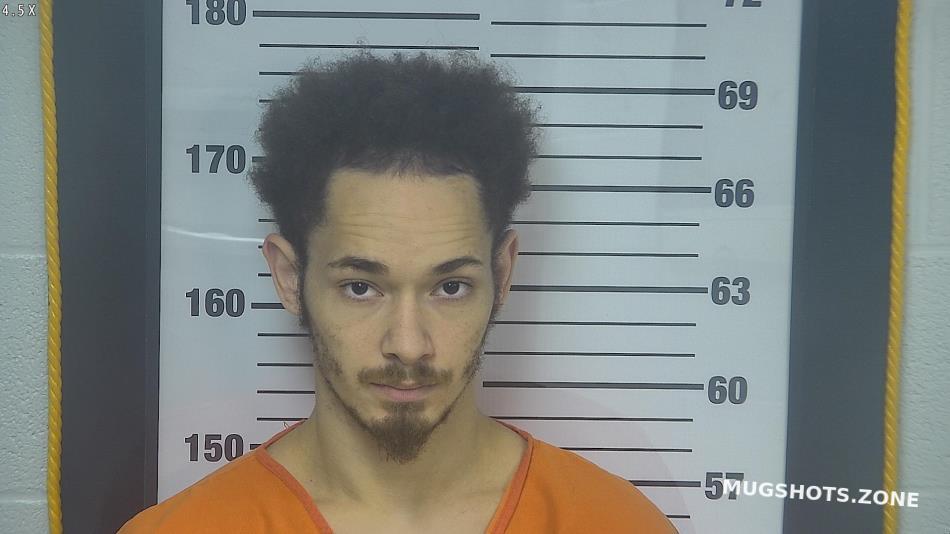 YOUNG JONATHON P 11/20/2023 - Ottawa County Mugshots Zone