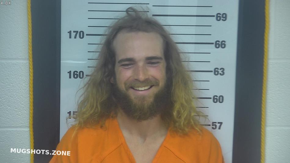 ARNOLD BRANTLY DAVID 03/17/2024 - Ottawa County Mugshots Zone