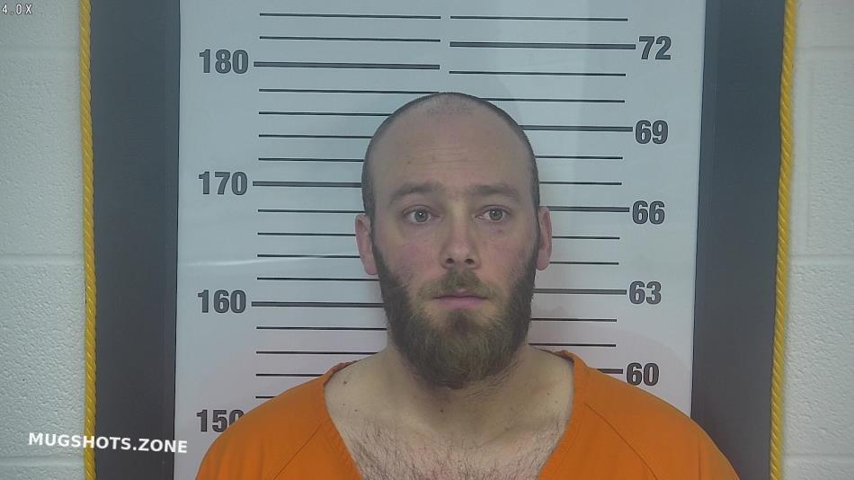 TENNEY AARON D 03/24/2024 - Ottawa County Mugshots Zone