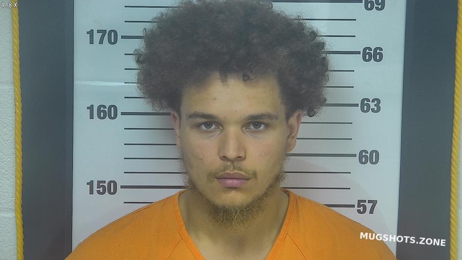 WALKER JULIUS SHAWN JR 08/12/2024 - Ottawa County Mugshots Zone