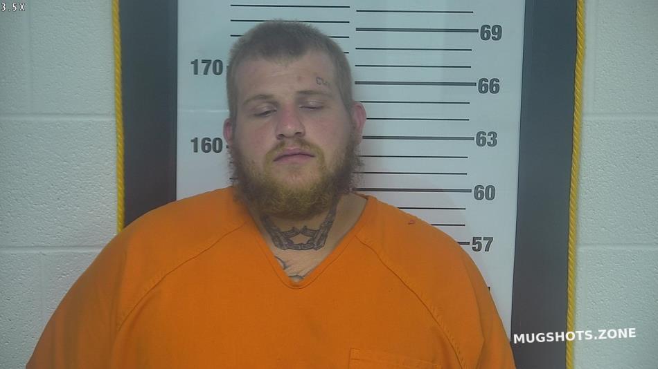 HICKLE MATTHEW JORDAN 10/11/2024 - Ottawa County Mugshots Zone