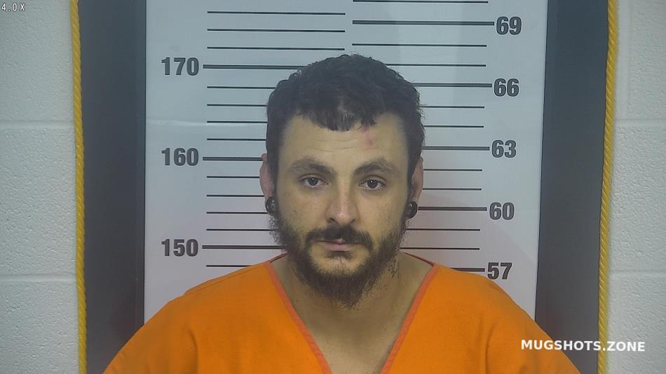 PETERSON KYLE W 10/30/2024 - Ottawa County Mugshots Zone