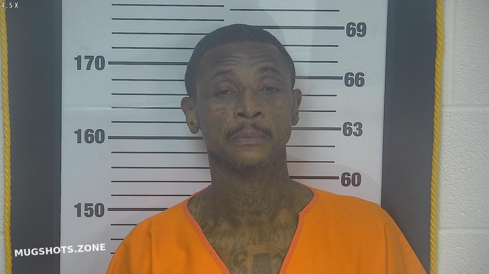 BURNETT LOUIS D 11/10/2024 - Ottawa County Mugshots Zone BURNETT LOUIS D 11/10/2024 - Ottawa County Mugshots Zone