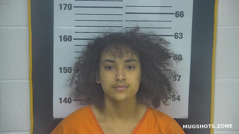 REIBER CAYDEN R 03/16/2025 - Ottawa County Mugshots Zone