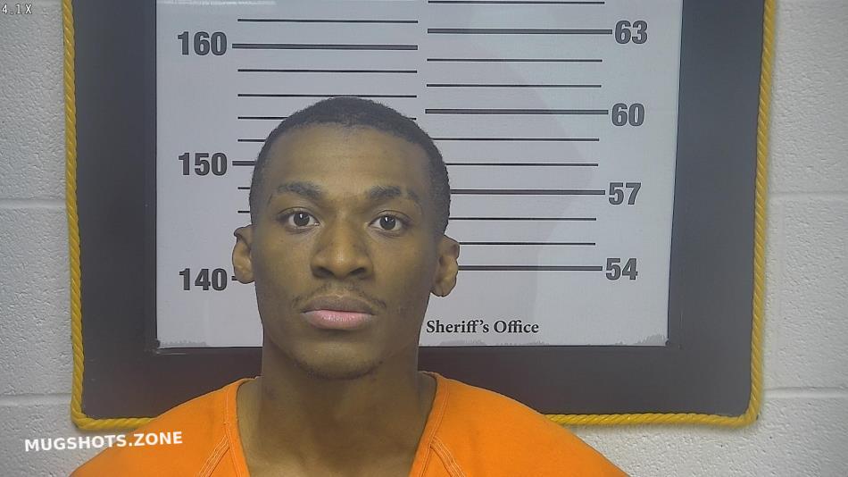 WILSON GERALD LAMAR JR 04/29/2025 - Ottawa County Mugshots Zone