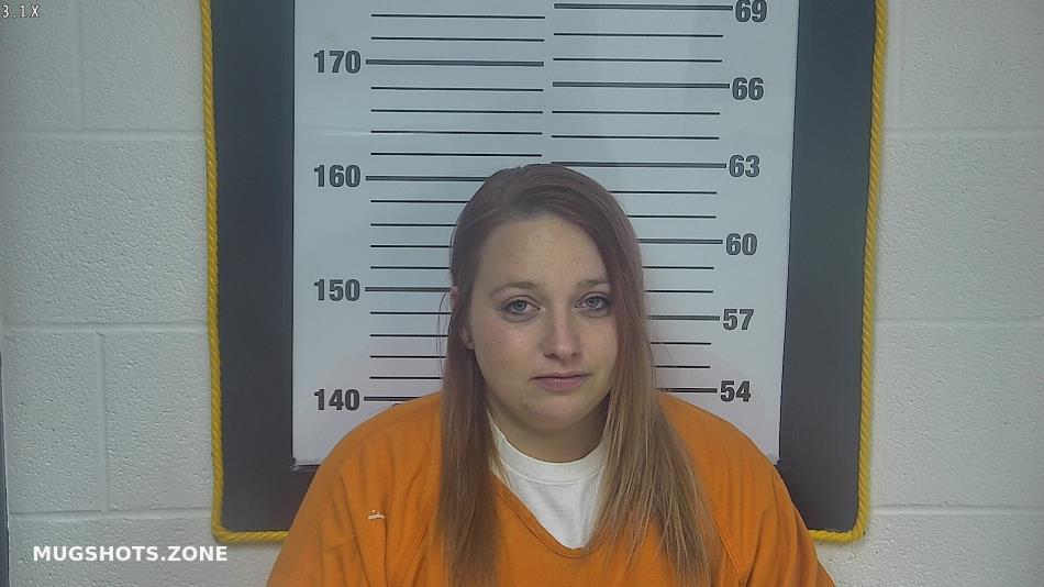 HENDRICKS JORDAN LYNN 11/15/2025 - Ottawa County Mugshots Zone