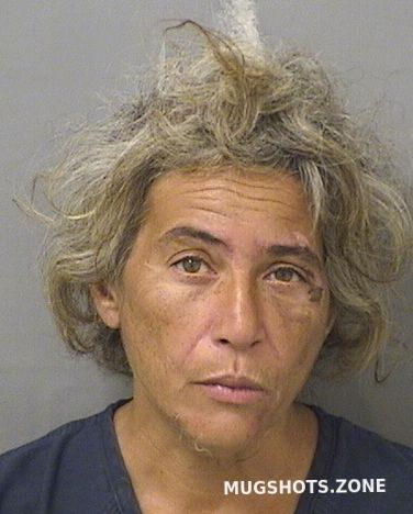 TOGNACCI WENDY A 02/11/2021 - Palm Beach County Mugshots Zone