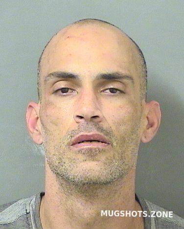 OZER JOSHUA HARRISON 02/15/2021 - Palm Beach County Mugshots Zone