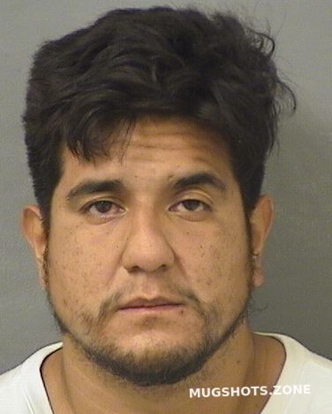 GRANADENO EDWIN DIONNE 03/13/2021 - Palm Beach County Mugshots Zone