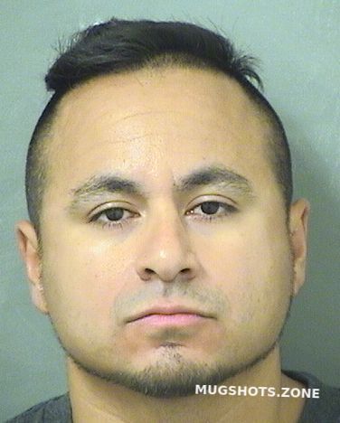 TORELLI ALEXANDER JOSEPH 03/26/2021 - Palm Beach County Mugshots Zone