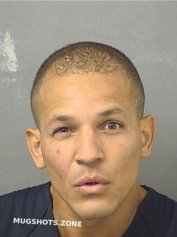 DEARAUJO FLAVIO GREGORIO 06/28/2021 - Palm Beach County Mugshots Zone