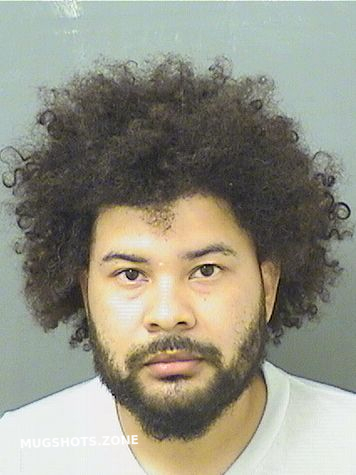 ALMENDAREZ ANDY E 07/17/2021 - Palm Beach County Mugshots Zone
