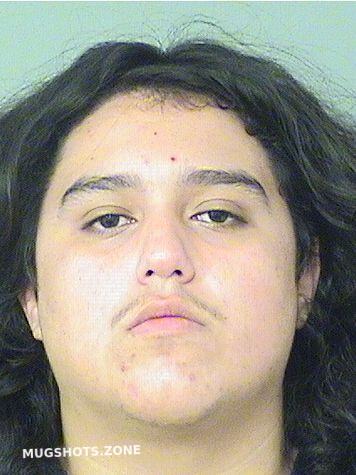 COREAS BENJAMIN V 02/05/2022 - Palm Beach County Mugshots Zone