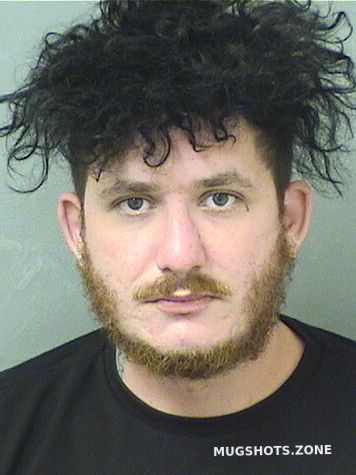 SHAPIRO BRANDON MAX 04/03/2022 - Palm Beach County Mugshots Zone