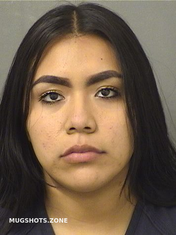 Mendez Jocelyn 04 17 2022 Palm Beach County Mugshots Zone