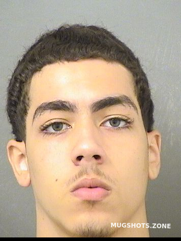 WILLIAMS CONNOR JAMES 05/06/2022 - Palm Beach County Mugshots Zone