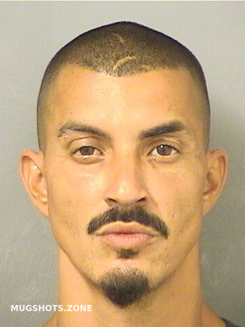 AVARIANO NICHOLAS LEVY 05/19/2022 - Palm Beach County Mugshots Zone