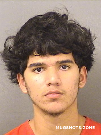FONSECA JOHAN ALEXIS 06/10/2022 - Palm Beach County Mugshots Zone