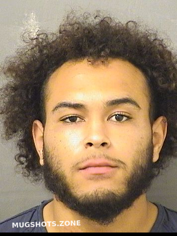 FERRER ALEX 06/16/2022 - Palm Beach County Mugshots Zone