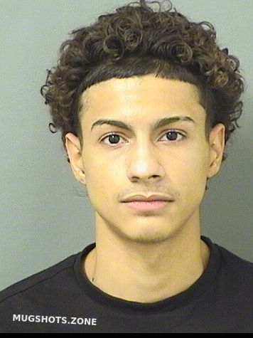 PAGANI DANIEL 10/05/2022 - Palm Beach County Mugshots Zone