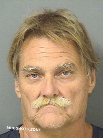 VIRAG MICHAEL JOERG 11/01/2022 - Palm Beach County Mugshots Zone