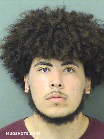 STEINMAN ANTONIO J 01/17/2023 - Palm Beach County Mugshots Zone