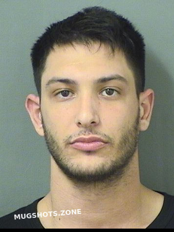 BRONSTEIN JARED EVAN 02/25/2023 - Palm Beach County Mugshots Zone