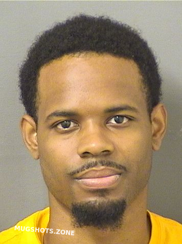 ADDISON TYLER ALEXANDER 03/23/2023 - Palm Beach County Mugshots Zone