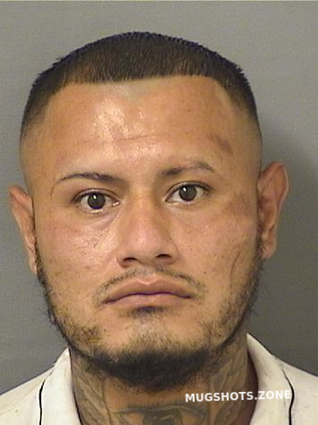 JAMES CESAR 06/12/2023 - Palm Beach County Mugshots Zone