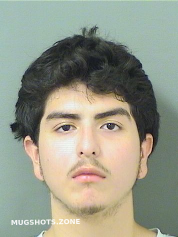 DURAN BRANDON SEBASTIAN 06/17/2023 - Palm Beach County Mugshots Zone