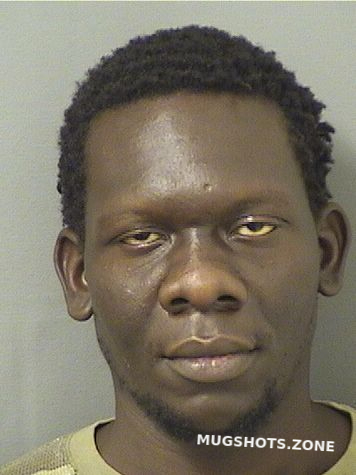 BAILEY GAVIN RUDOLPH 06/26/2023 - Palm Beach County Mugshots Zone